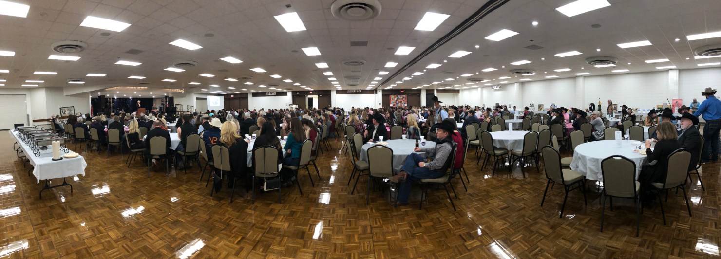 51st Annual Brazos County Go Texan Dance and Auction – Brazos County Go ...